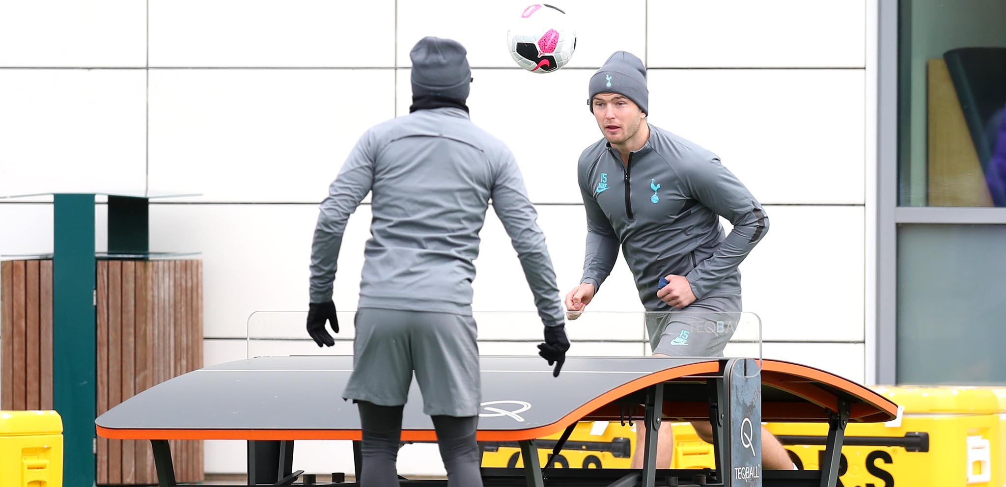 18-82 Q&A - Dier: 'I stood at the side of the road with these turtles...'